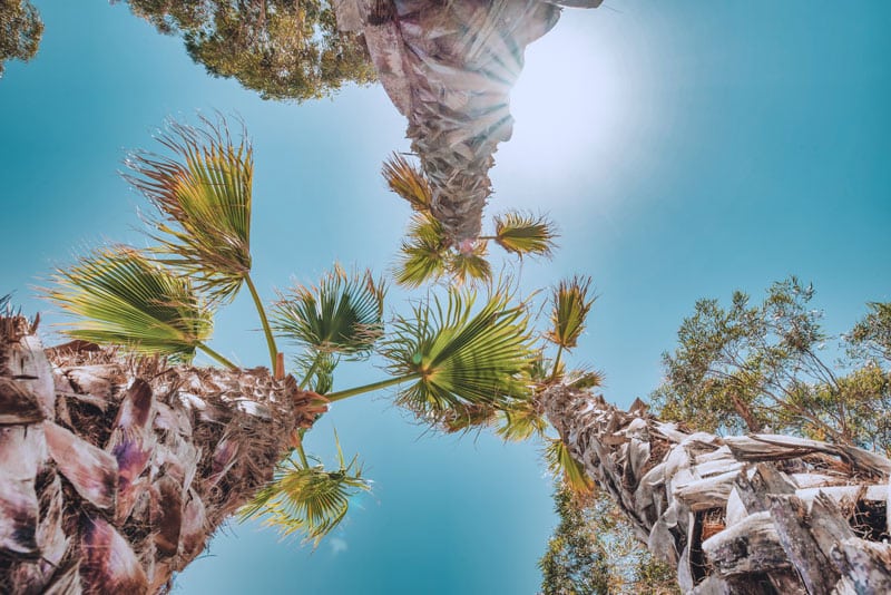 Zin in een weekend in de zon? - Esterel Caravaning